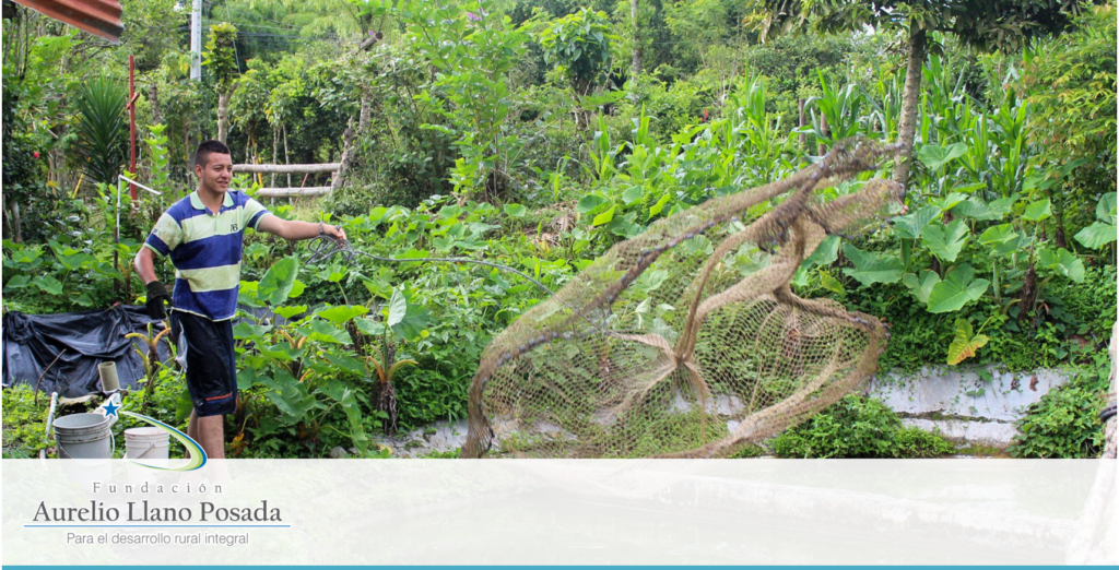 Avances del programa de desarrollo rural - Fundación Aurelio Llano Posada